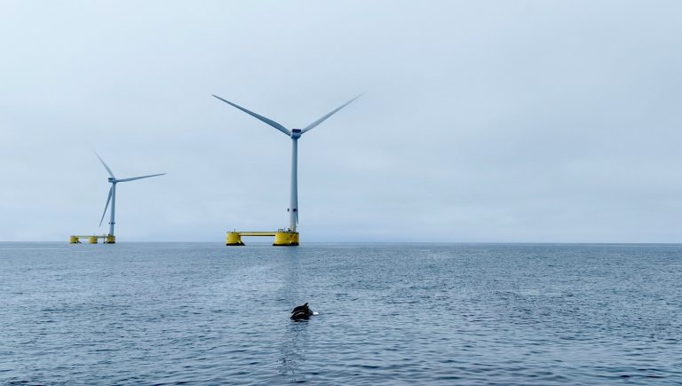 FOW CoE: Floating Offshore Wind – Environmental Interactions Roadmap ...
